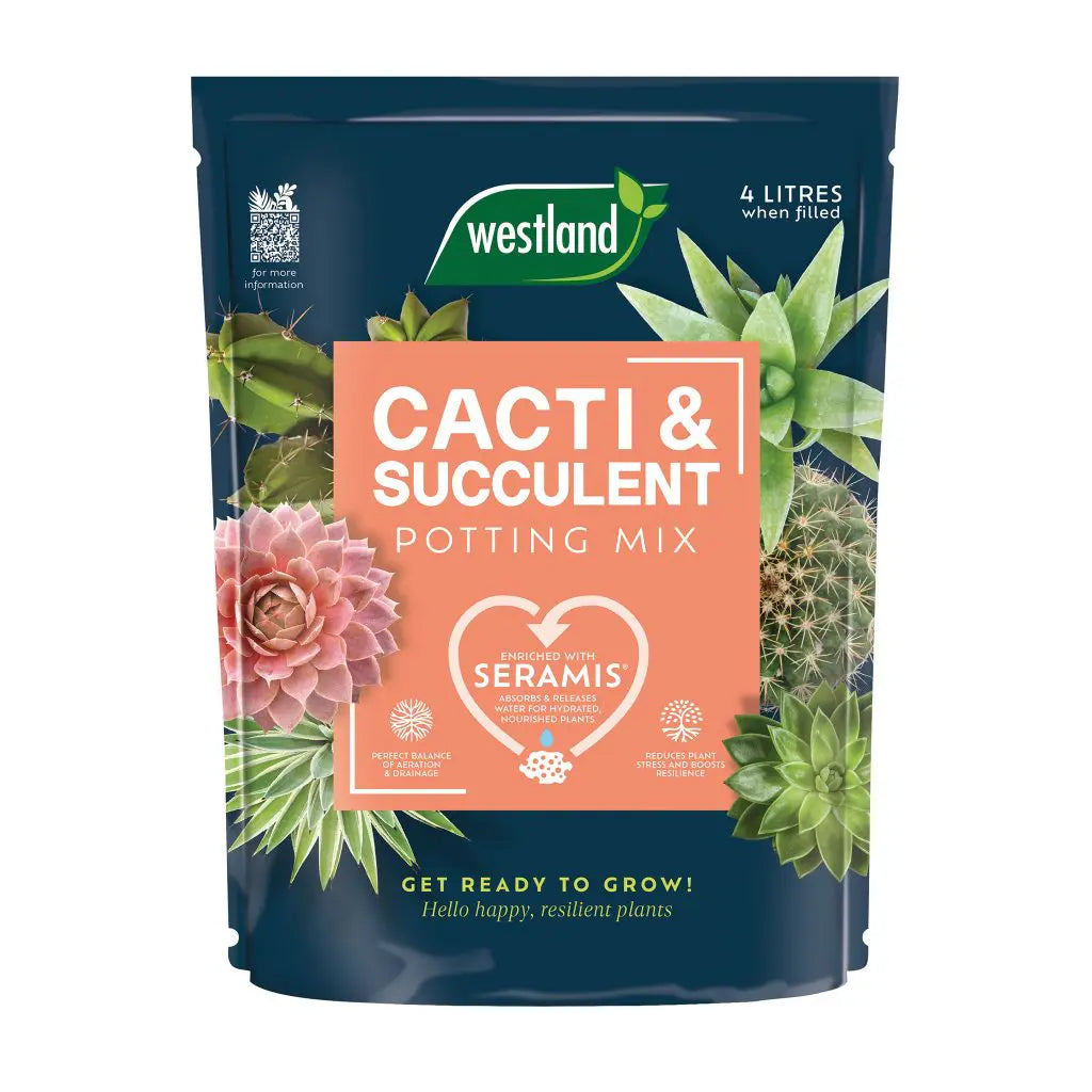 Westland Cacti & Succulent Potting Mix 4 Litre — Newlands Garden Centre