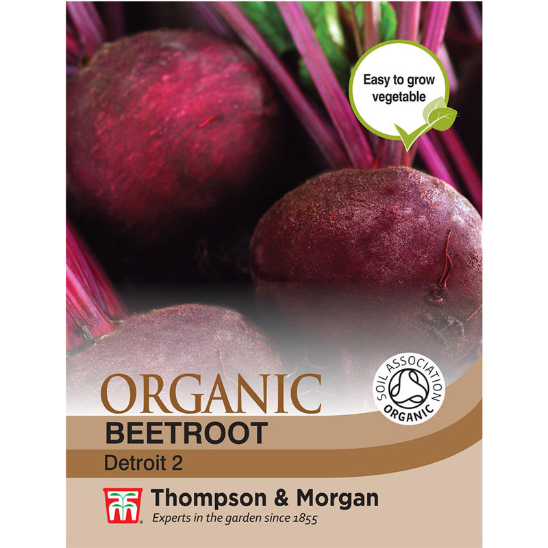 Beetroot Detroit 2 Organic — Newlands Garden Centre