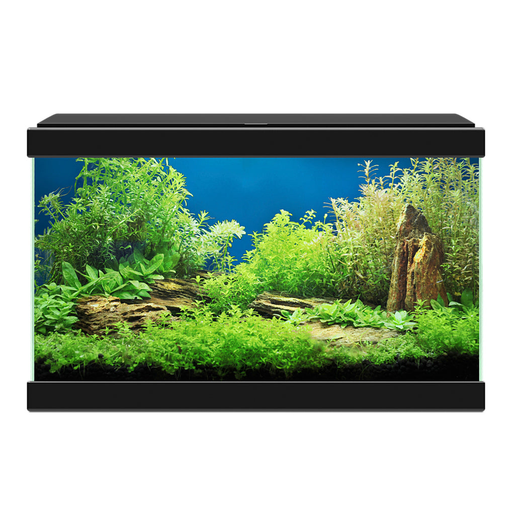 Buy Aquariums Online | Buy Fish Tanks Online | BiOrb Aquarium Stockist ...