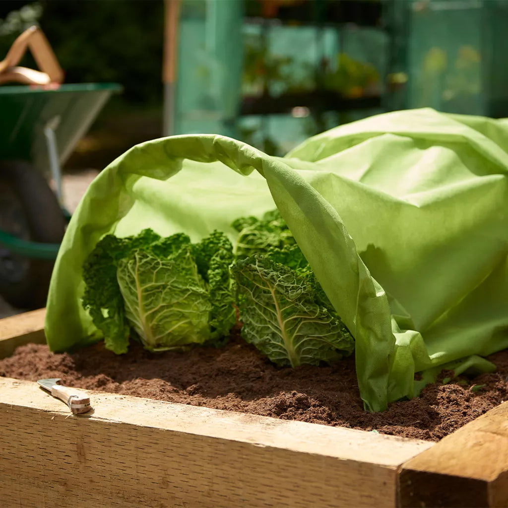 Grow It Heavy Duty Thick Fleece 10m x 1m — Newlands Garden Centre