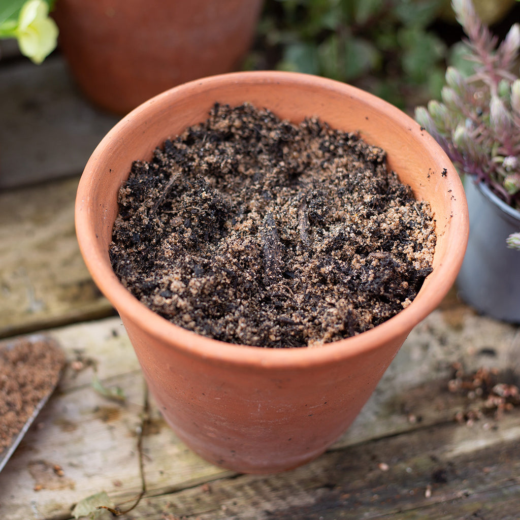 Buy Compost Online Dublin Ireland | Best compost For Your Garden ...