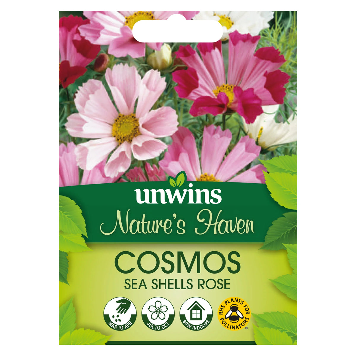Natures Haven Cosmos Sea Shells Rose — Newlands Garden Centre