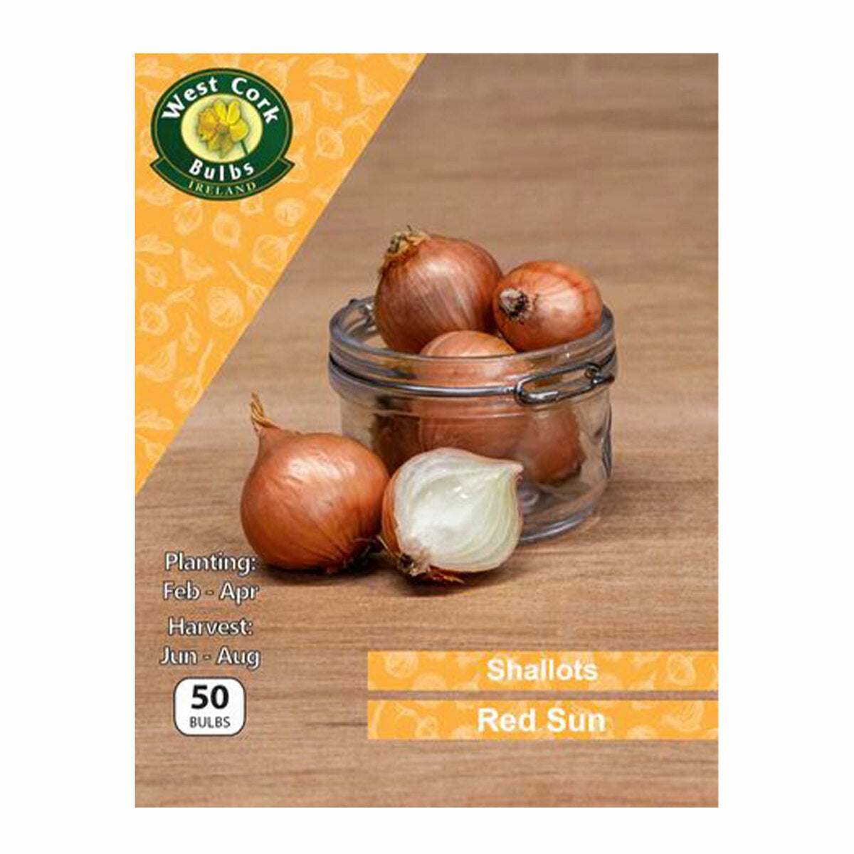 Shallots 'Red Sun' (50 Bulbs Per Pack) — Newlands Garden Centre