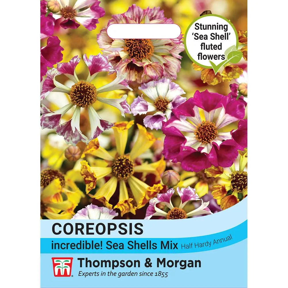 Coreopsis Incredible Sea Shells Mix — Newlands Garden Centre