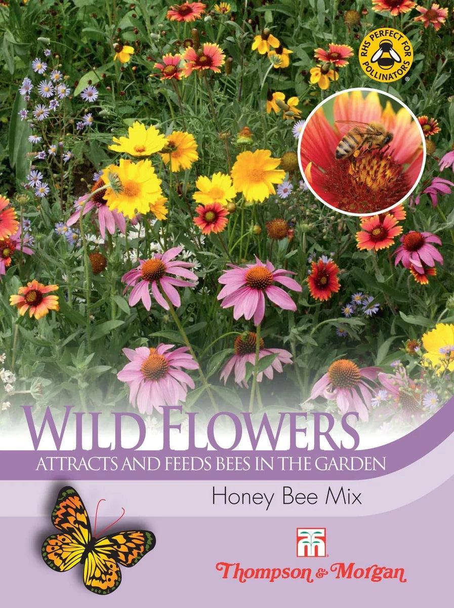 Wild Flower Honey Bee Mix — Newlands Garden Centre