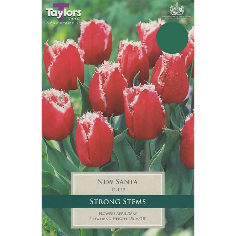 Buy Spring Flowering Tulip Bulbs Online Ireland | All Tulip Bulbs Half ...