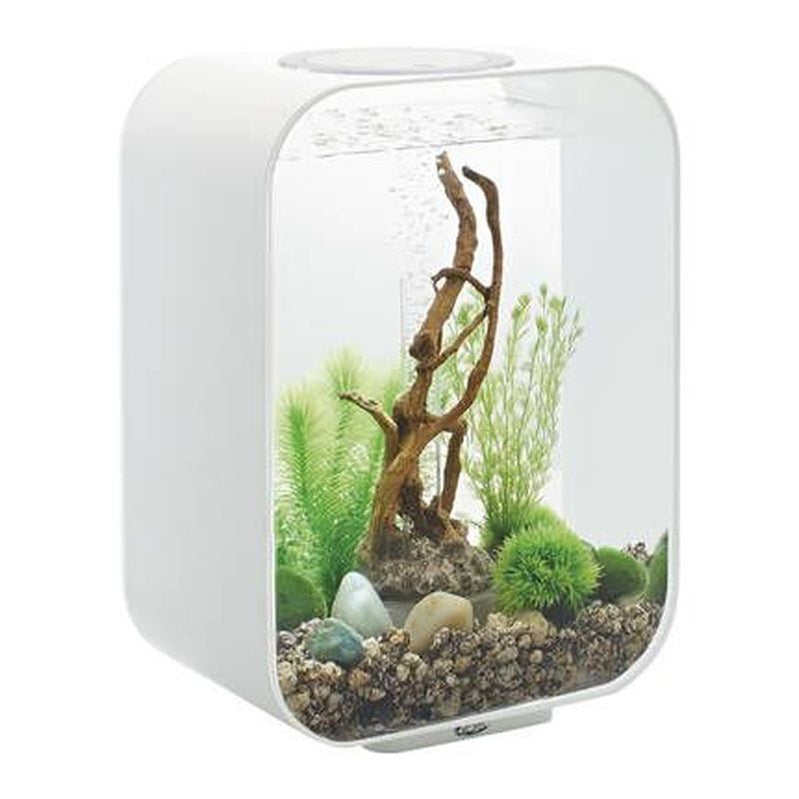 Buy Aquariums Online | Buy Fish Tanks Online | BiOrb Aquarium Stockist ...