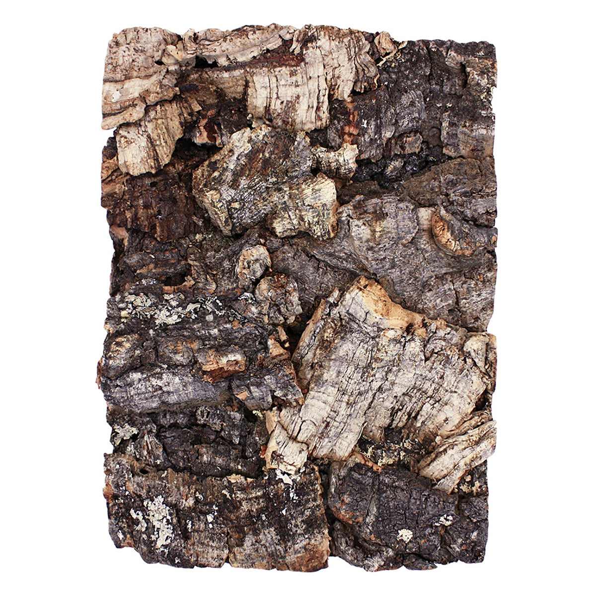 Komodo Cork Terrarium Background Natural 30 x 30cm — Newlands Garden Centre