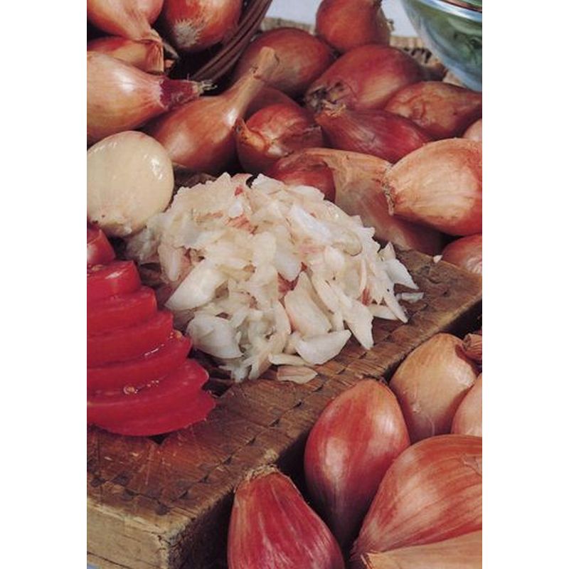 Shallot Mikor — Newlands Garden Centre
