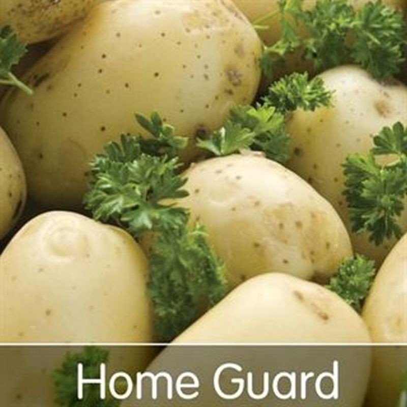 Home Guard Seed Potatoes 2kg - First Early — Newlands Garden Centre
