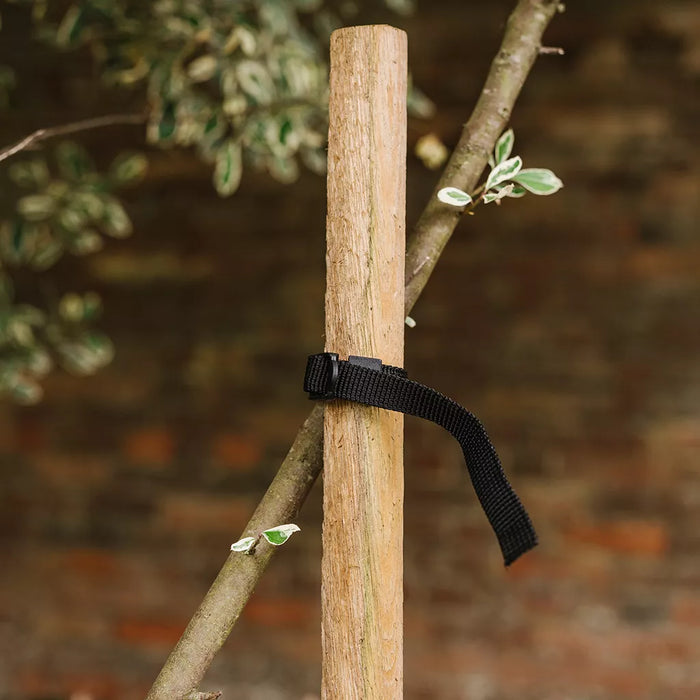 Grow It Round Tree Stake 180cm 71" — Newlands Garden Centre
